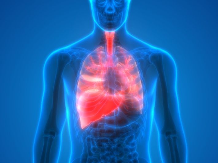 أهم ما عليك معرفته: انتشار السرطان في الكبد والرئة