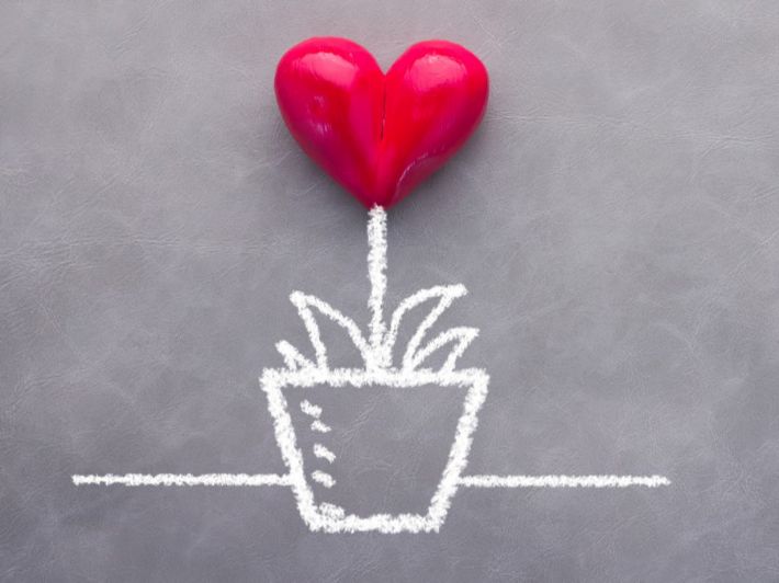 كيف أحب حياتي بخطوات سهلة التطبيق؟