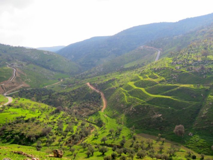 وادي الريان في إربد: اعرف أكثر